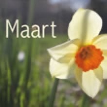 Plaatjes met Berichten en Citaten - Beste Krabbels