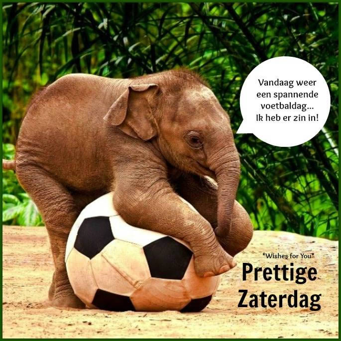 ᐅ Zaterdag Plaatjes en Gifs voor Whatsapp (Pagina 4) - BesteKrabbels.nl